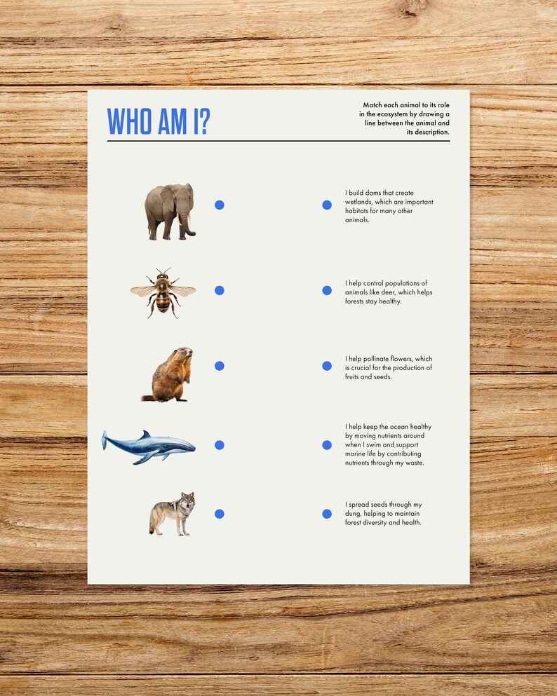 Climate Change, Wild Animals Education, Classroom Slides, Environmental ...