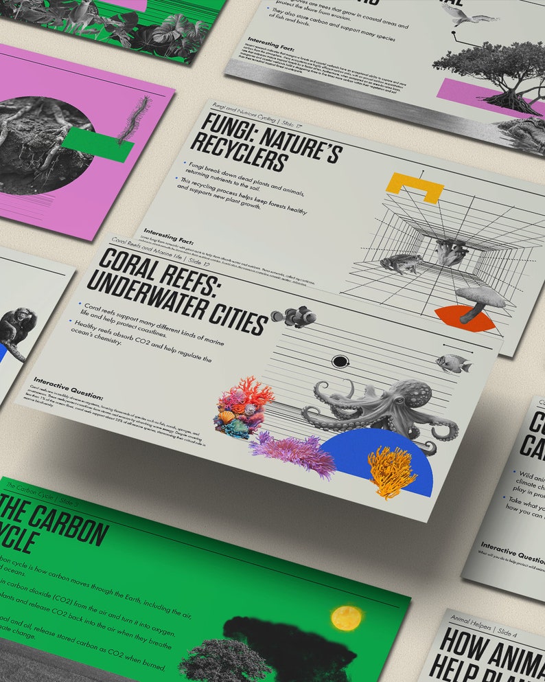 Climate Change, Wild Animals Education, Classroom Slides, Environmental ...