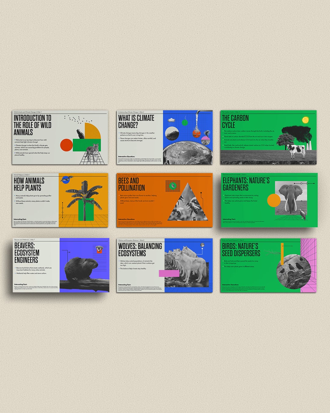 Climate Change, Wild Animals Education, Classroom Slides, Environmental ...