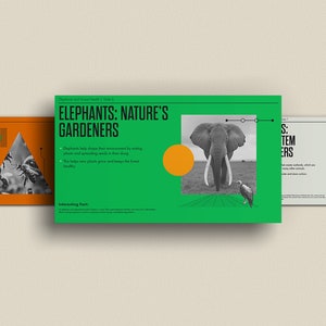 Climate Change, Wild Animals Education, Classroom Slides, Environmental ...