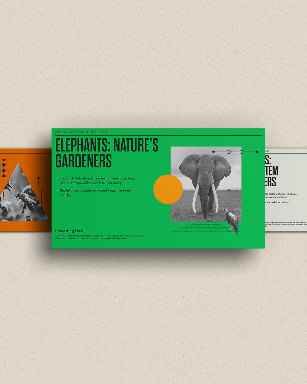 Climate Change, Wild Animals Education, Classroom Slides, Environmental ...