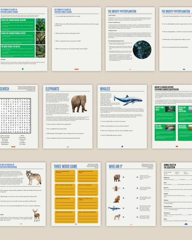 Climate Change, Wild Animals Education, Classroom Slides, Environmental ...