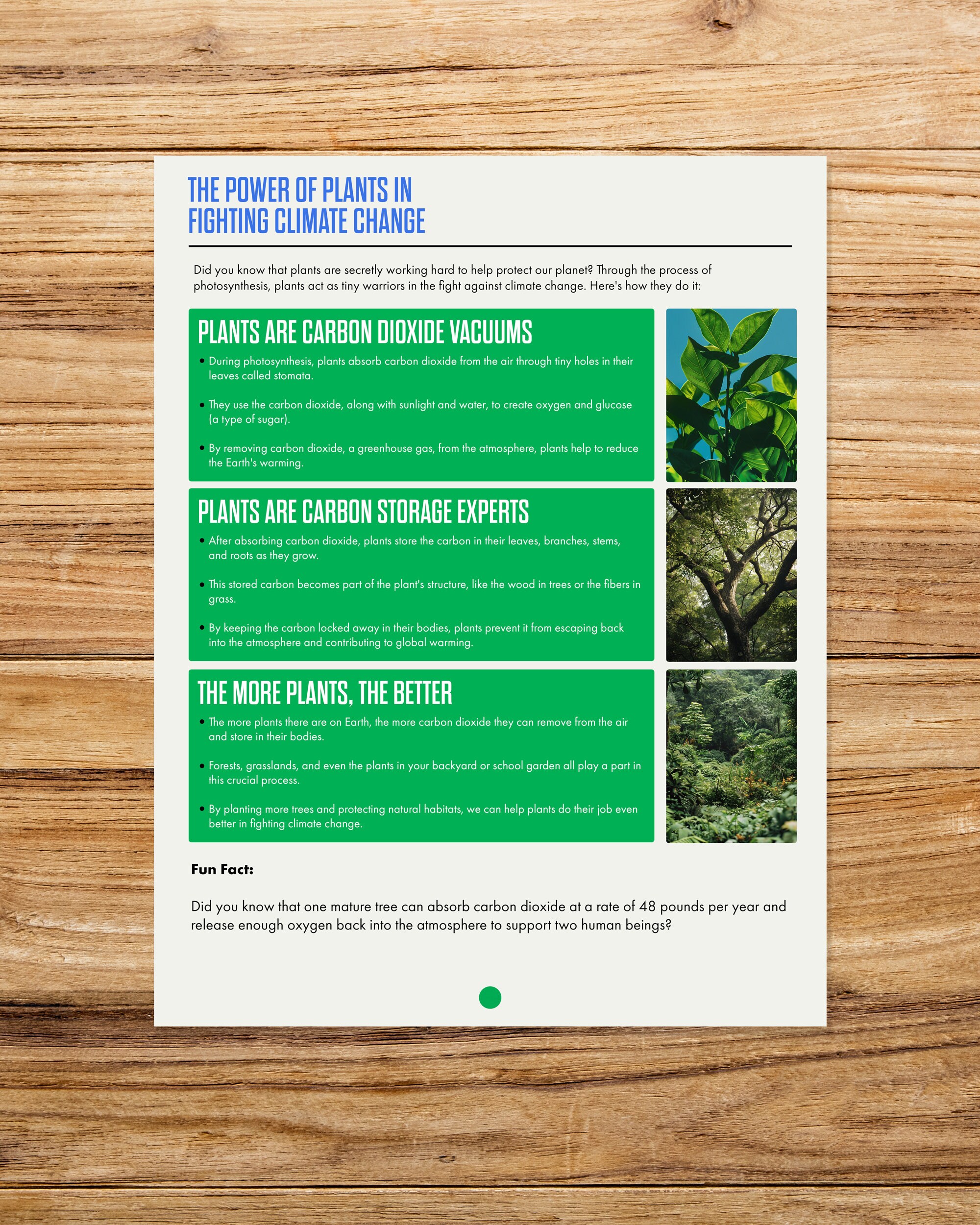 Climate Change, Wild Animals Education, Classroom Slides, Environmental ...