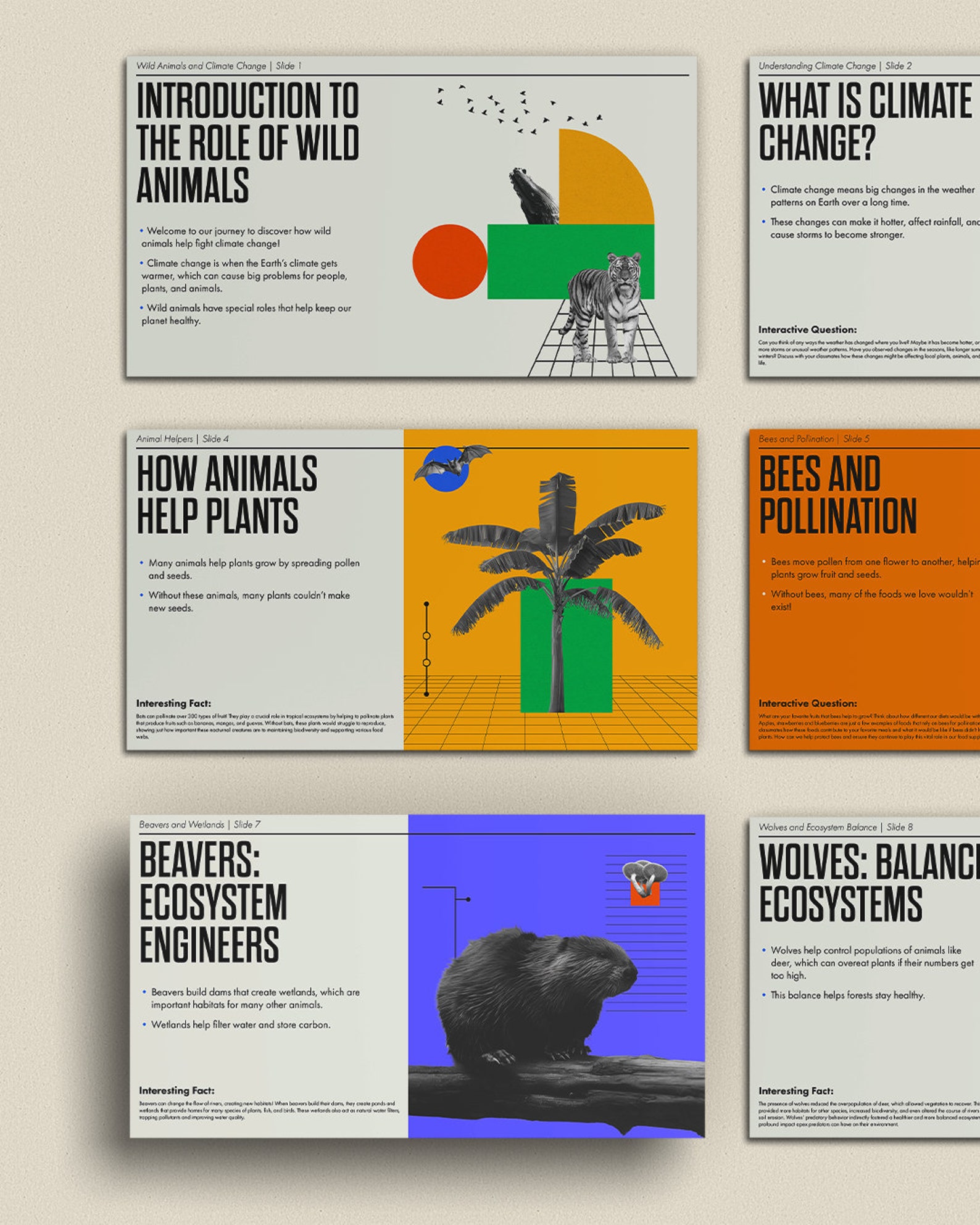 Climate Change, Wild Animals Education, Classroom Slides, Environmental ...