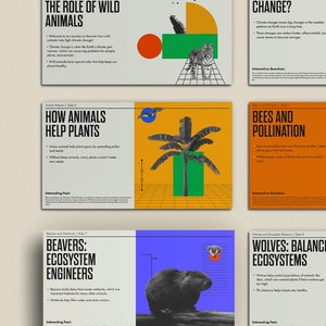 Climate Change, Wild Animals Education, Classroom Slides, Environmental ...