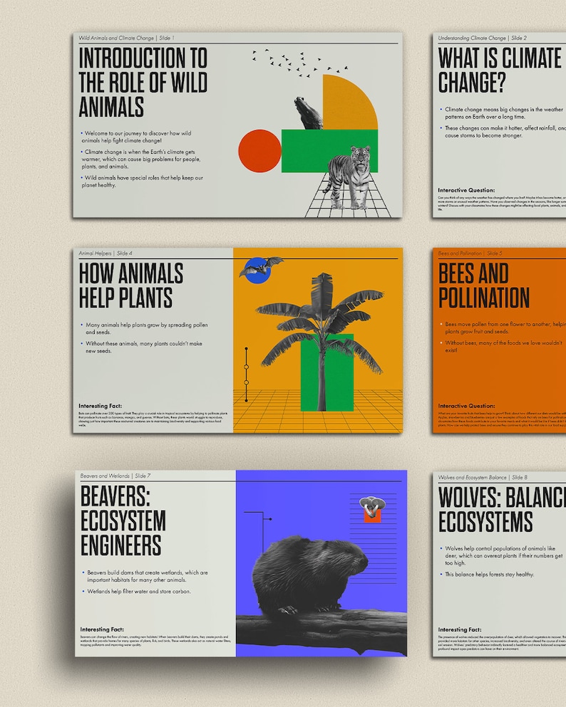 Climate Change, Wild Animals Education, Classroom Slides, Environmental ...