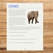 Climate Change, Wild Animals Education, Classroom Slides, Environmental ...