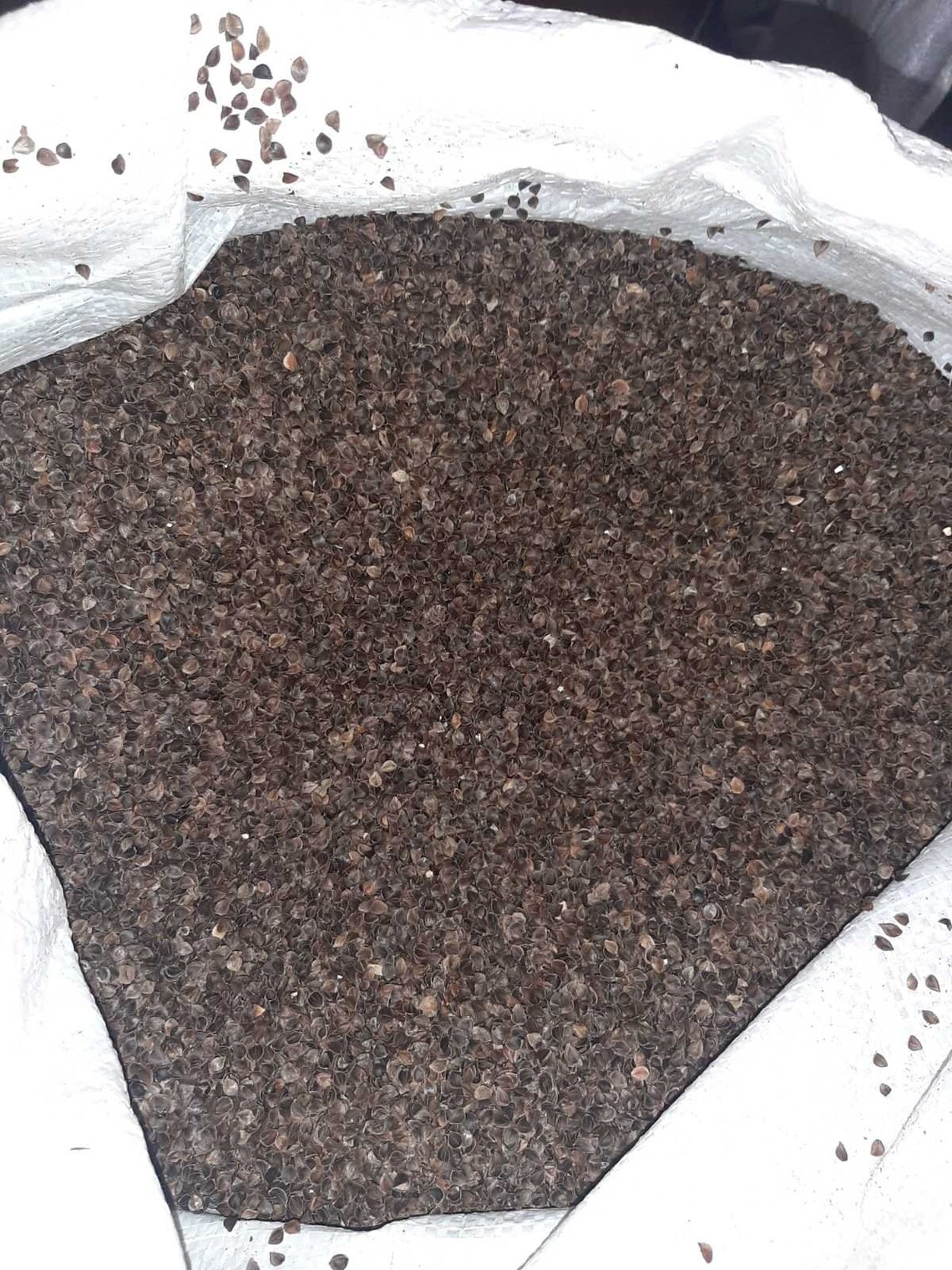 Buckwheat Hulls for Filling Poufs, Pillows and Bolsters for Yoga ...