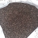Buckwheat Hulls for Filling Poufs, Pillows and Bolsters for Yoga ...