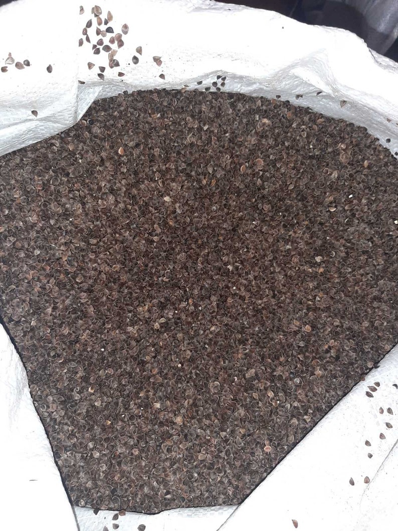 Buckwheat Hulls for Filling Poufs, Pillows and Bolsters for Yoga ...