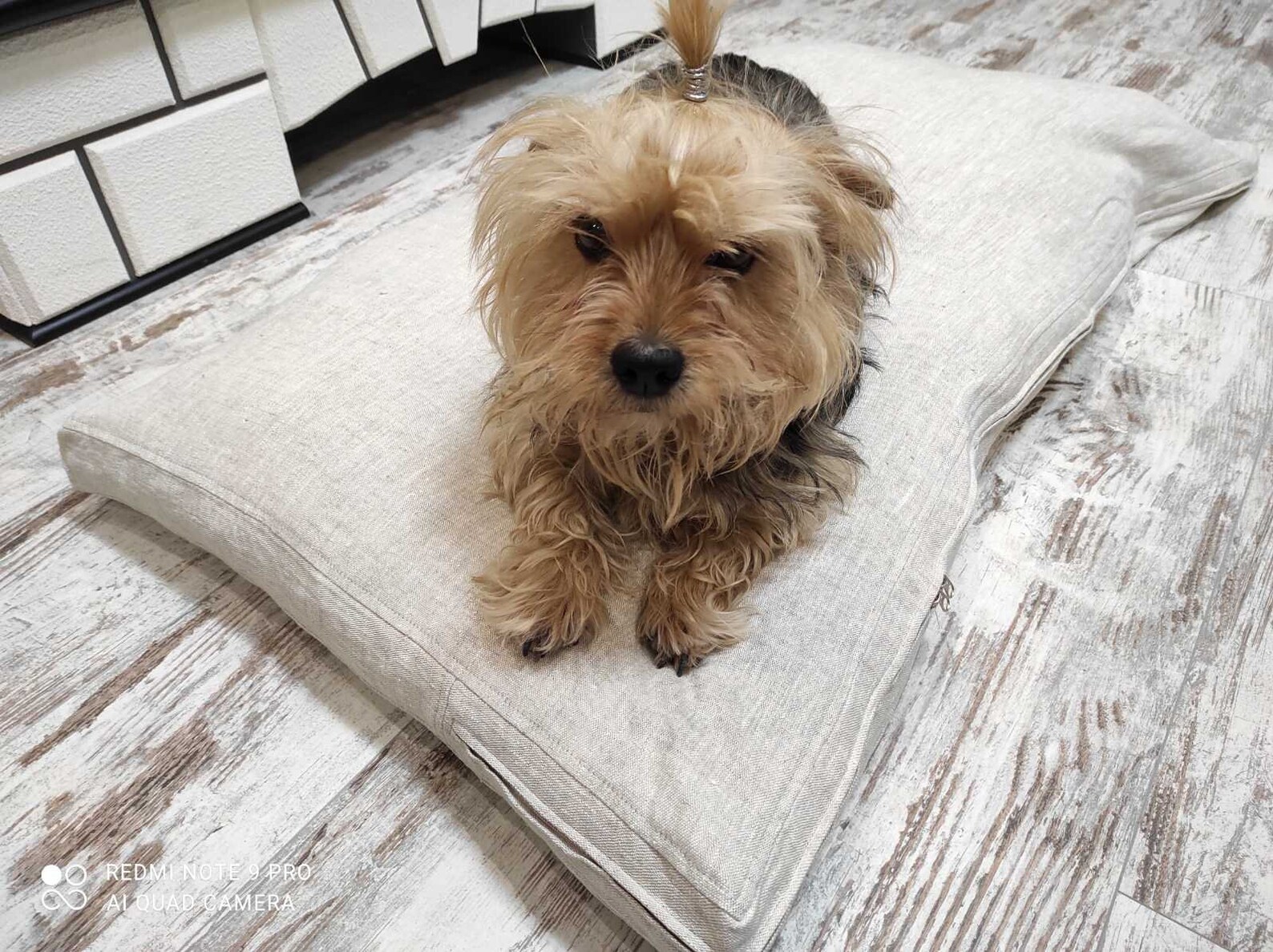 Mattress topper with zipper made of environmentally friendly | Etsy