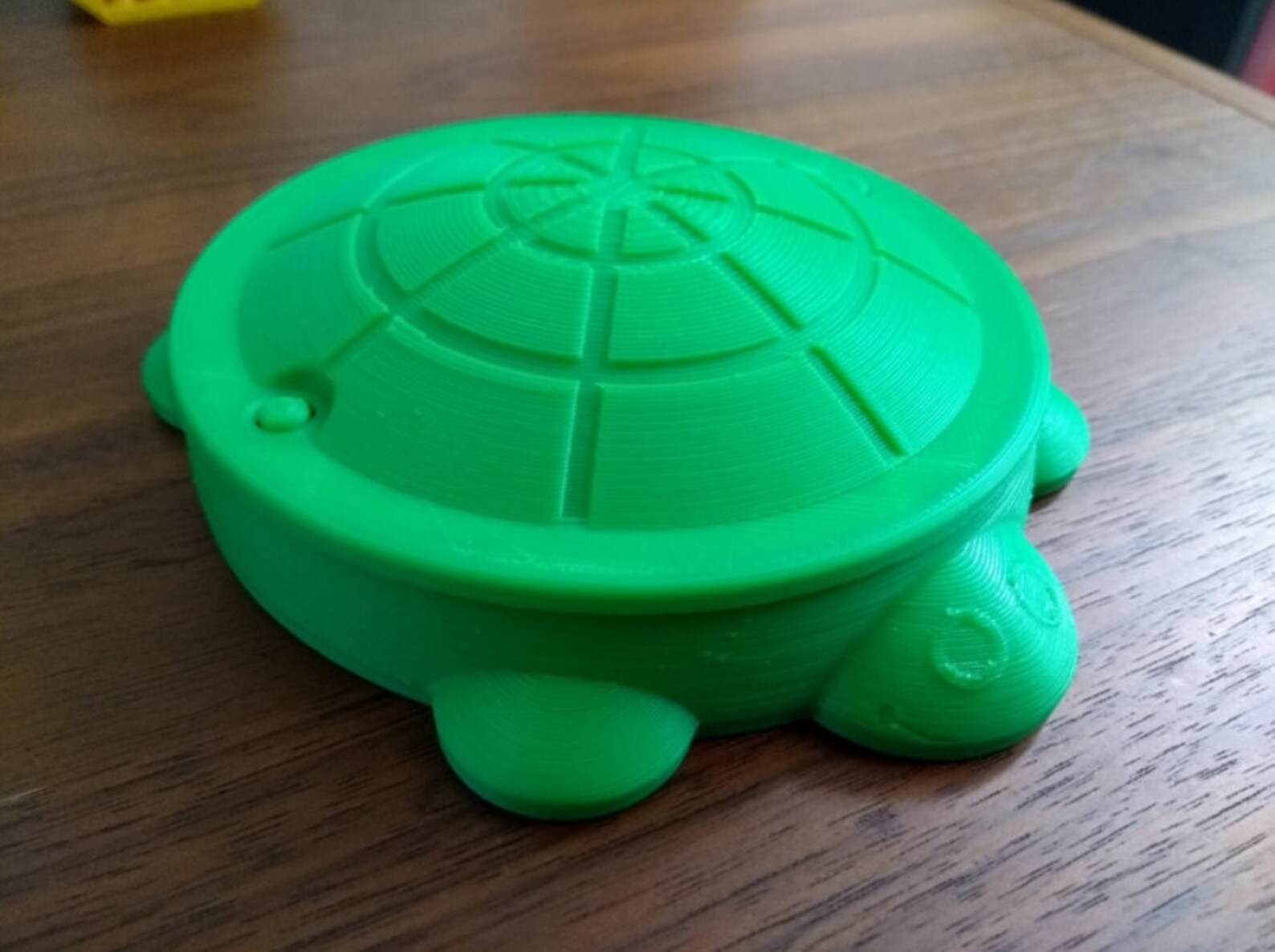 Mini Sandbox Turtle With Lid Cap Reptile Feeder Put in - Etsy