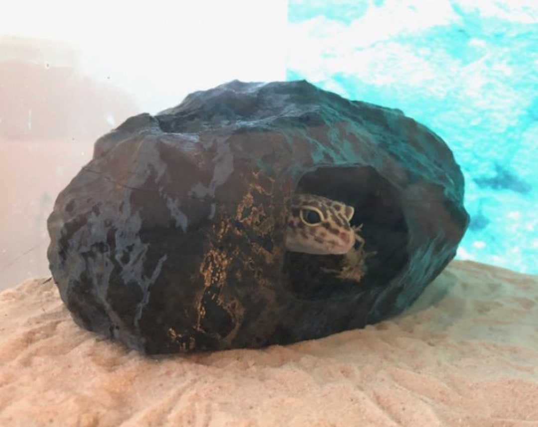 Reptile Cave With Removable Top - Pet Snakes Lizards Bearded Dragon ...