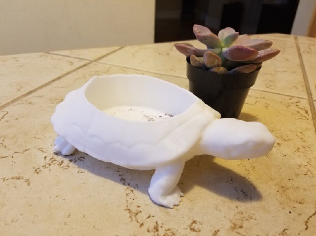 Turtle Planter - Cute Succulent Planters - Any Color! - Etsy