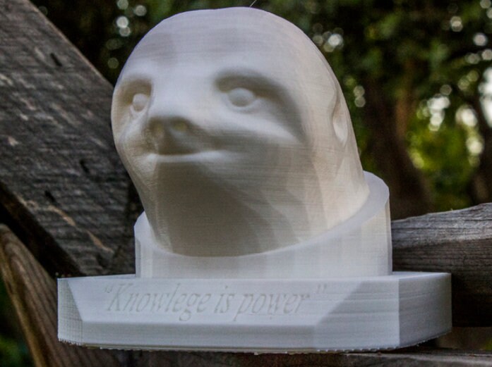 Knowledge Is Power Sloth