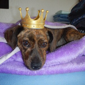 Princess Crown - Any Color ;) - Etsy