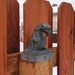Gargoyle Fence Post Topper 4x4 PVC Vinyl or Wood - Garden Gargoyal ...