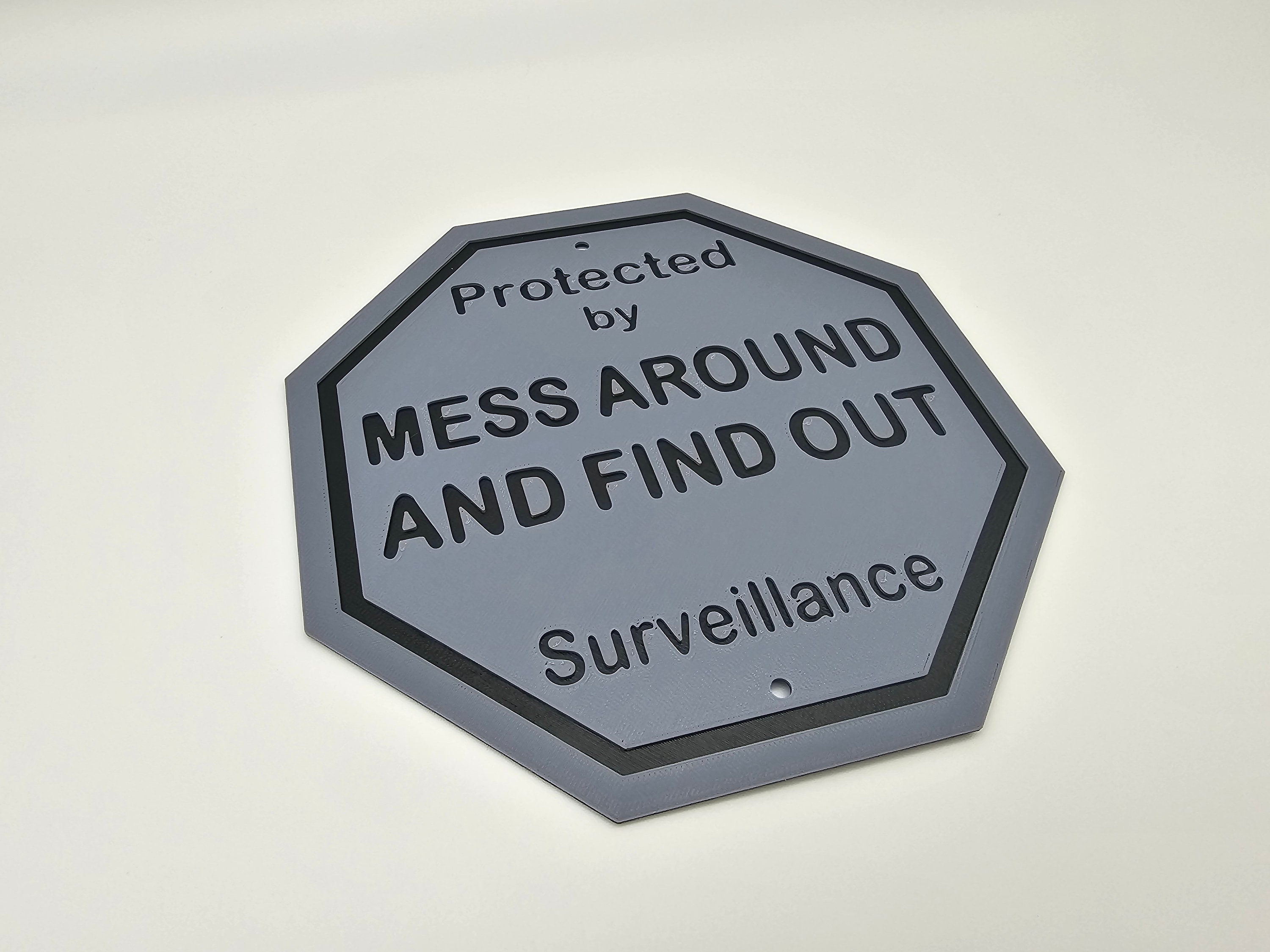 Protected by Mess Around and Find Out Sign - F Around and Find Out ...