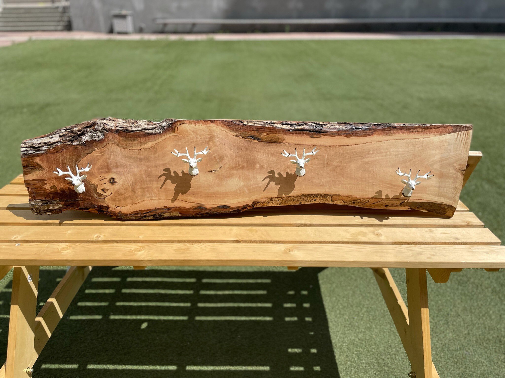 Live Edge Coat Rack Vertical Wall Mounted Coat Rack entryway | Etsy