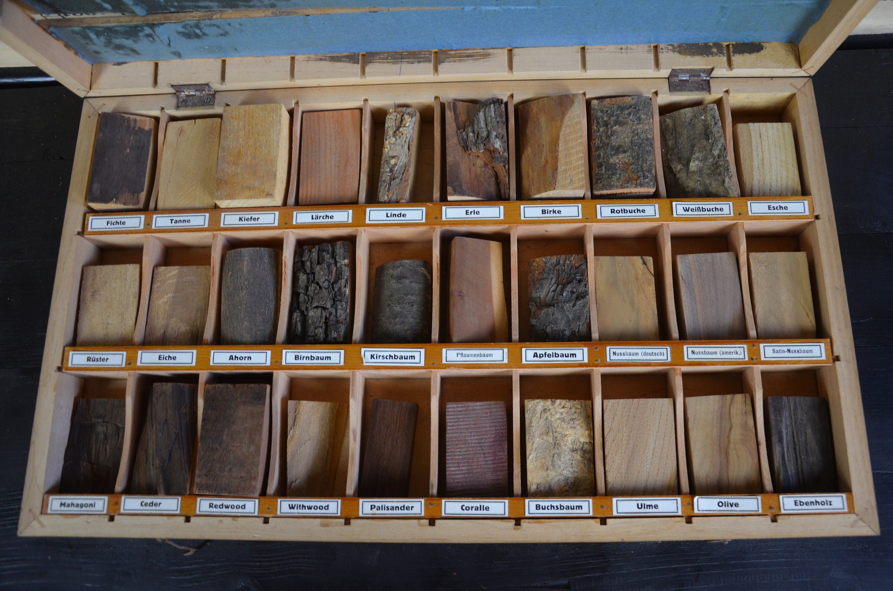 Edemo-holzschule 30 Wood Specimens: Super Rare Antique Early - Etsy