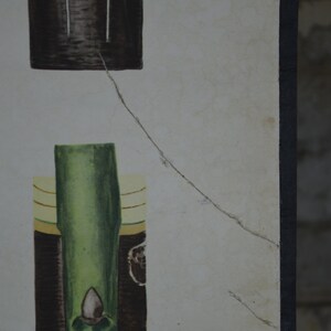 Veneer Crown Graft, Tittel's Graft: Original Vintage 1950s Educational ...