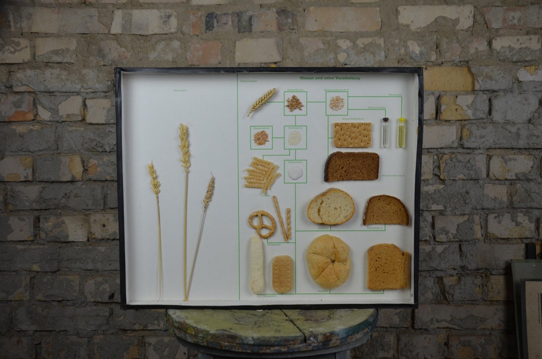 Grain & Cereal Products, Bread, Pasta: Original Vintage 1980s German ...