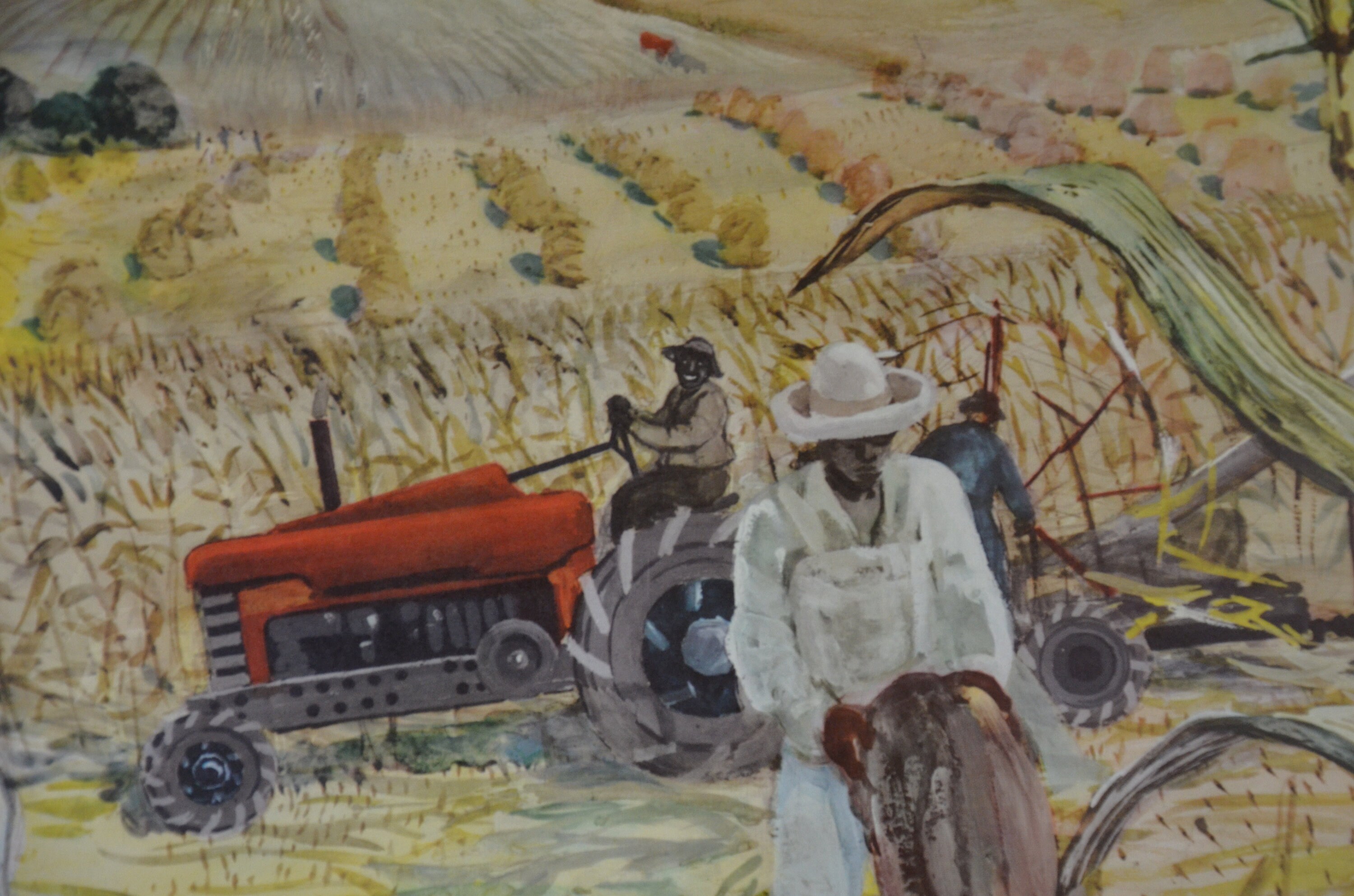 Corn, Maize Field & Harvest: Original Vintage German 1940s Educational ...