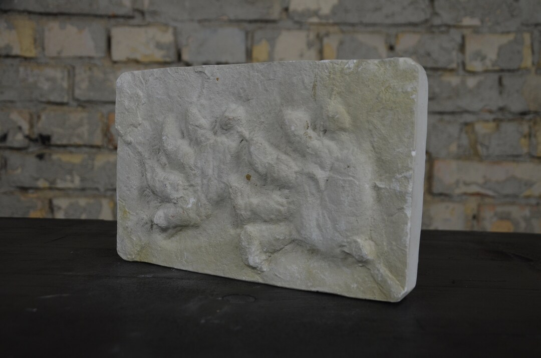 Flower Fossil, Vintage Plaster Cast, Paleontology: Original 1920s ...