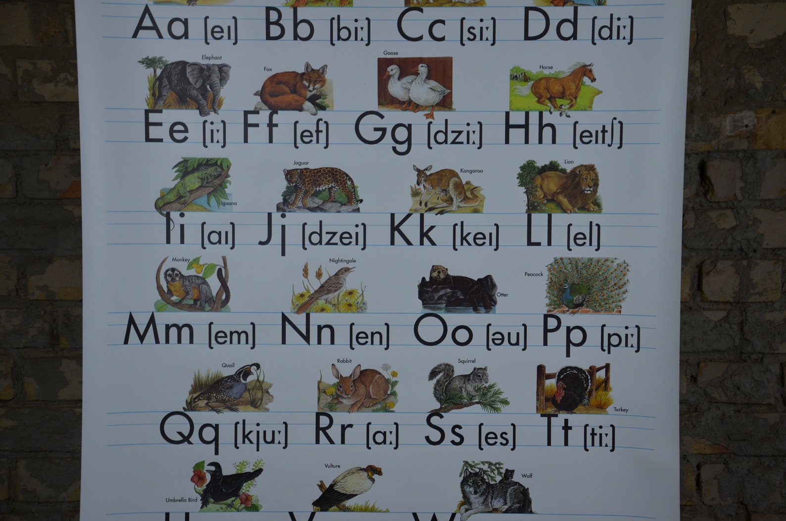 English Alphabet, Phonetics, Animals: Original Vintage 1990s Elementary ...