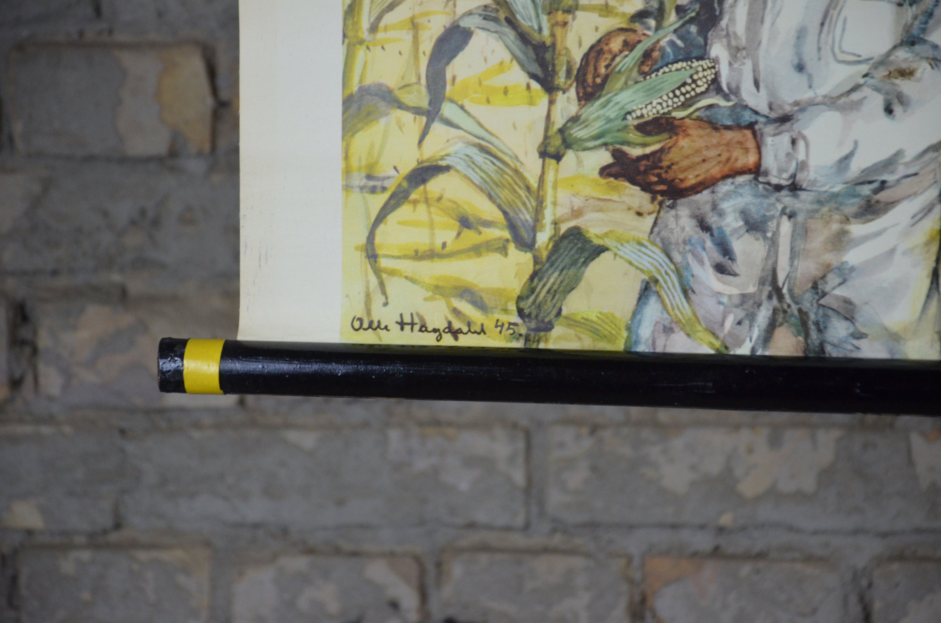 Corn, Maize Field & Harvest: Original Vintage German 1940s Educational ...