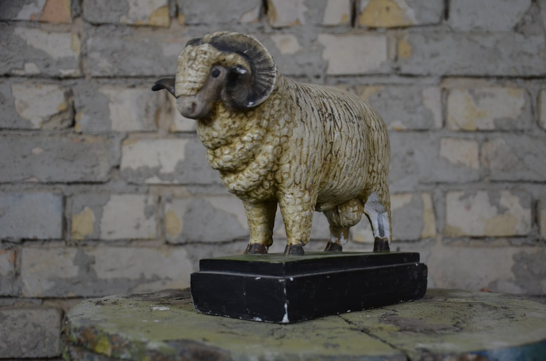 Merino Sheep Ram, Antique Plaster Model: Exceptional Original 1920s ...