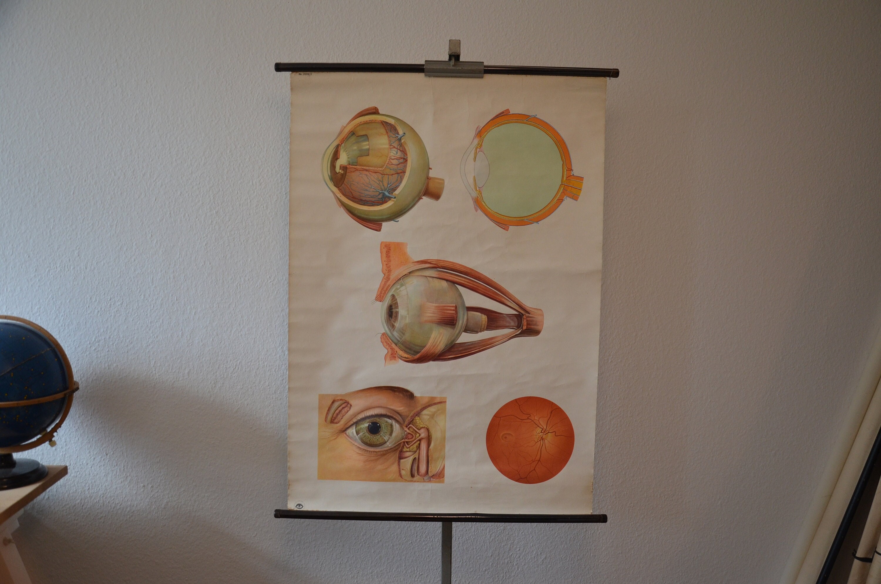 The Human Eye: Original Vintage 1960s German Educational - Etsy
