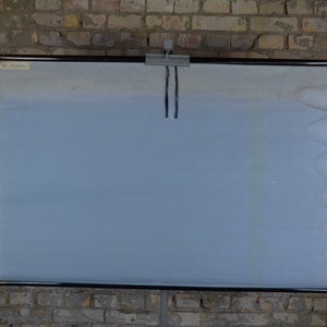 Freshwater Hydra Anatomy: Original Vintage East German 1960s ...