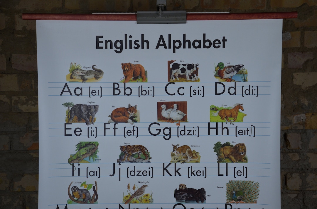 English Alphabet, Phonetics, Animals: Original Vintage 1990s Elementary ...