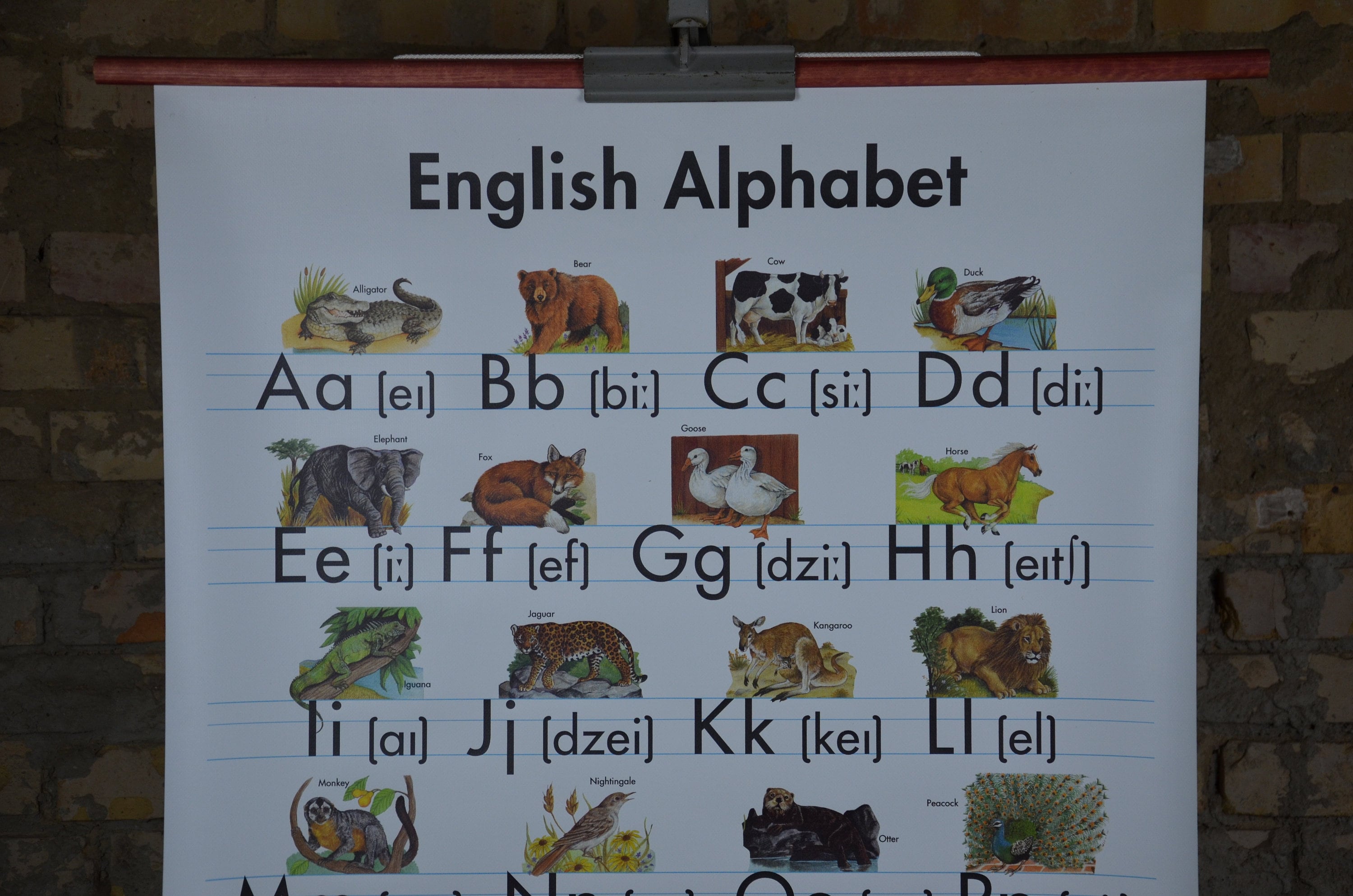 English Alphabet Phonetics Animals: Original Vintage 1990s - Etsy