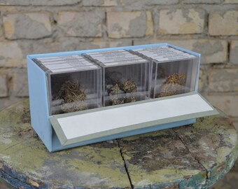 Plant Seed Specimen Collection in Lab Vials: Original Vintage 1920s ...