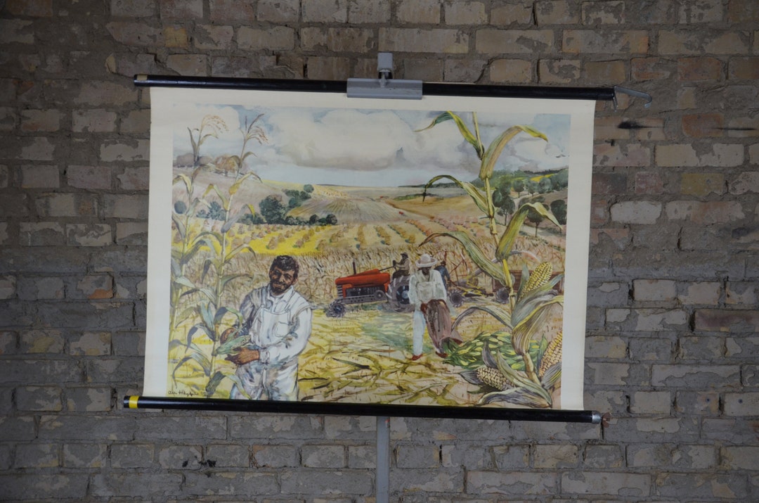 Corn, Maize Field & Harvest: Original Vintage German 1940s Educational ...