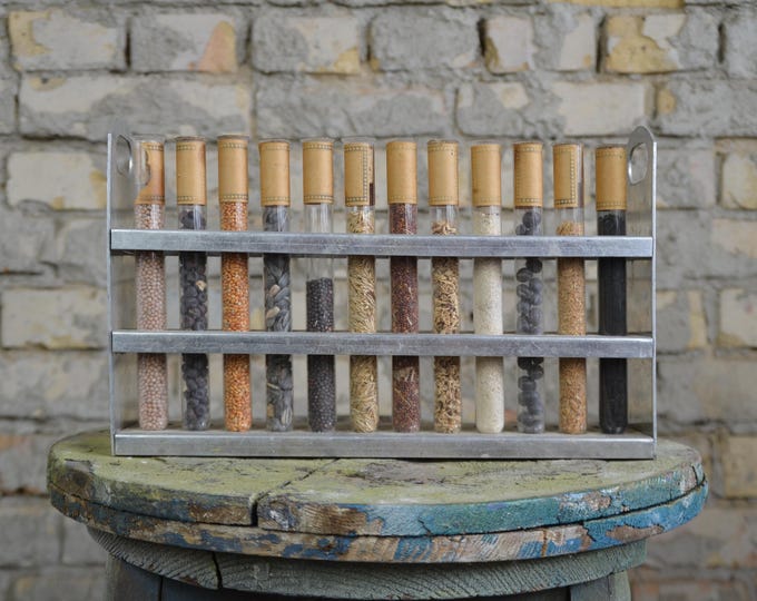 Plant Seed Specimen Collection in Lab Vials: Original Vintage 1920s ...