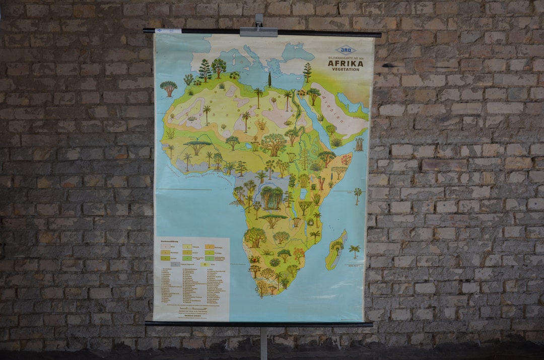 Trees of Africa, Botanical Map: Original Vintage 1960s German ...