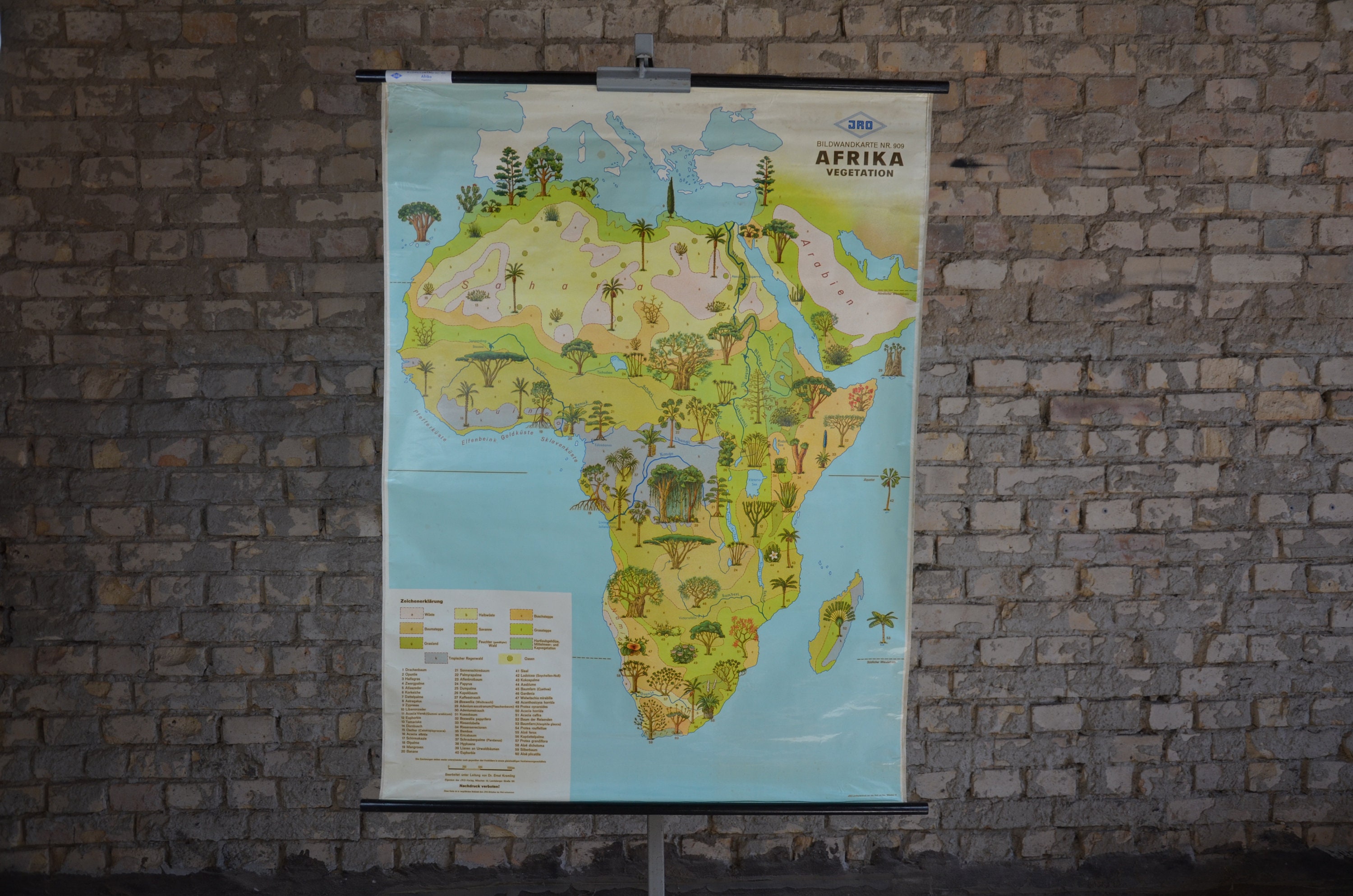 Trees of Africa Botanical Map: Original Vintage 1960s German | Etsy