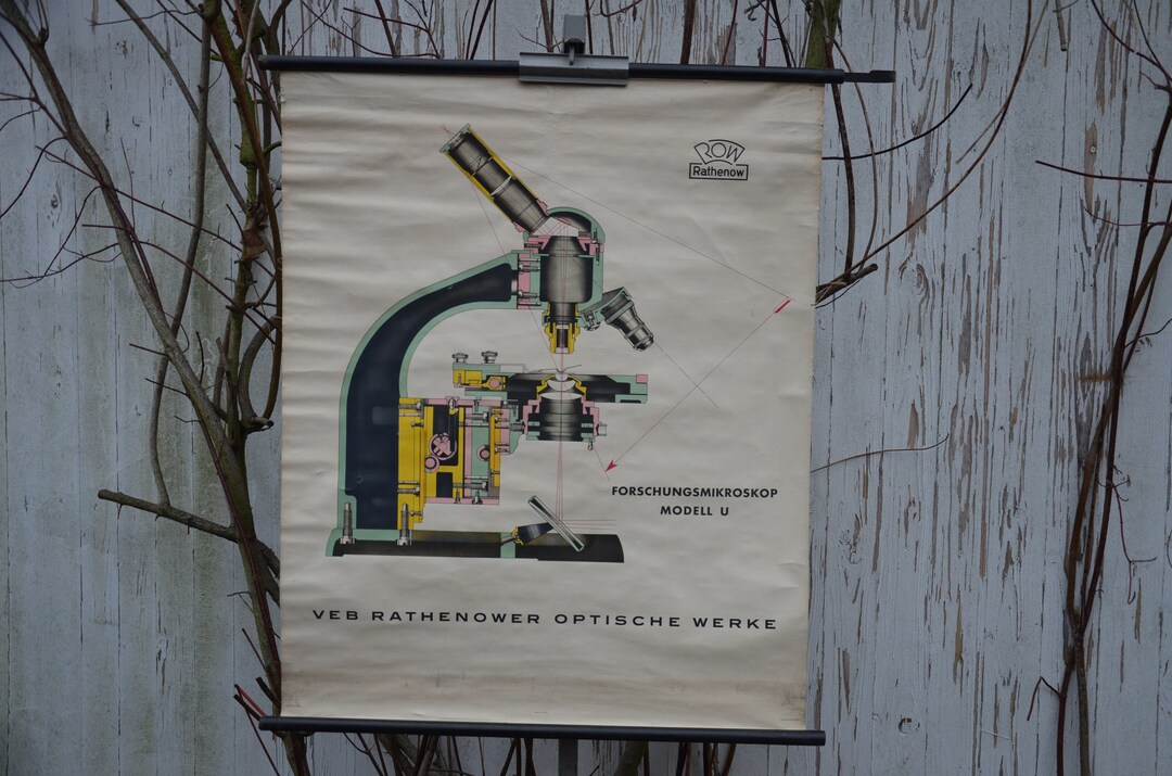 Optical Microscope, Lab, Science: Original Vintage 1960s German ...