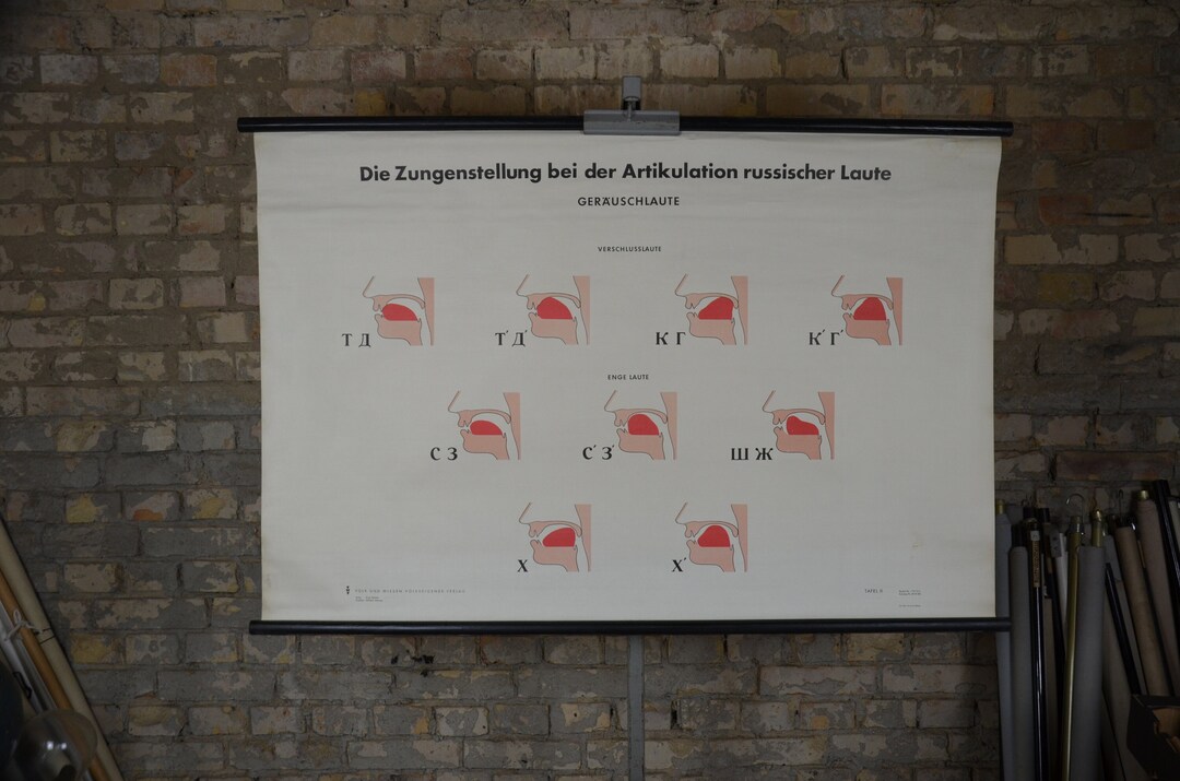 Tongue Positions in Phonetics, Language: Rare Original Vintage 1950s ...