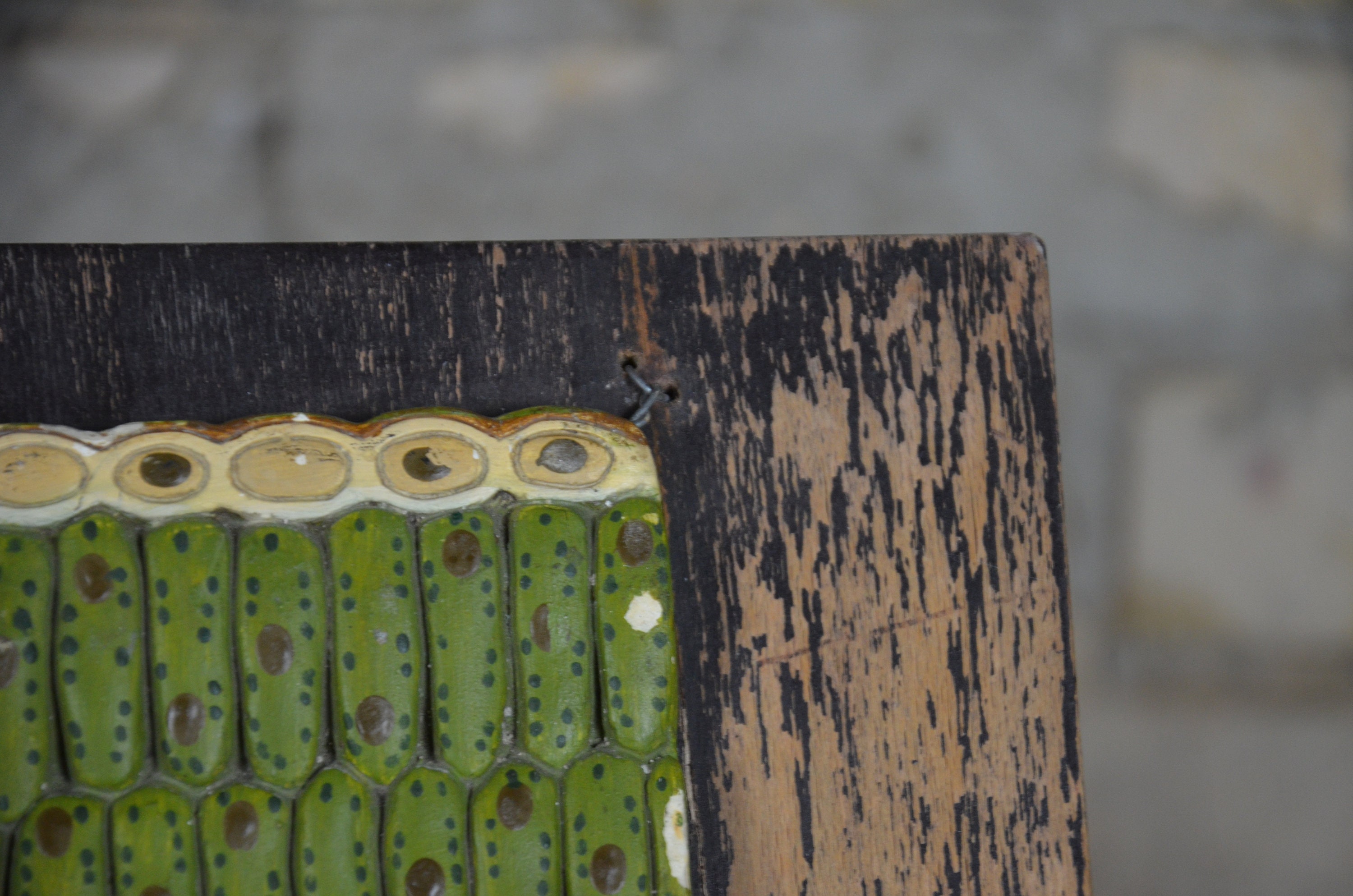 Leaf Cross-section, Exceptional Antique Botanical Model: Original 1920s ...