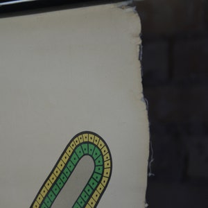 Freshwater Hydra Anatomy: Original Vintage East German 1960s ...