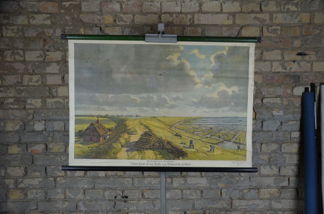 Land Reclamation, North Germany: Original Antique 1930s Educational ...