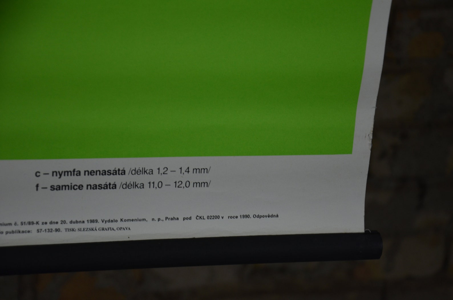 Types of Ticks Parasites: Original Vintage 1980s Czech - Etsy