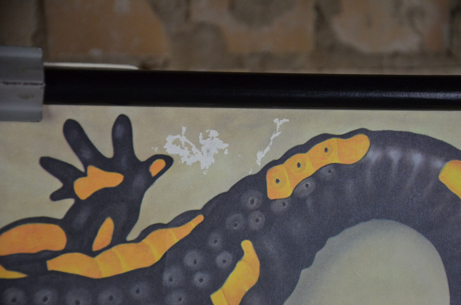 Fire Salamander: Jung Koch Quentell Original Vintage German 1970s ...
