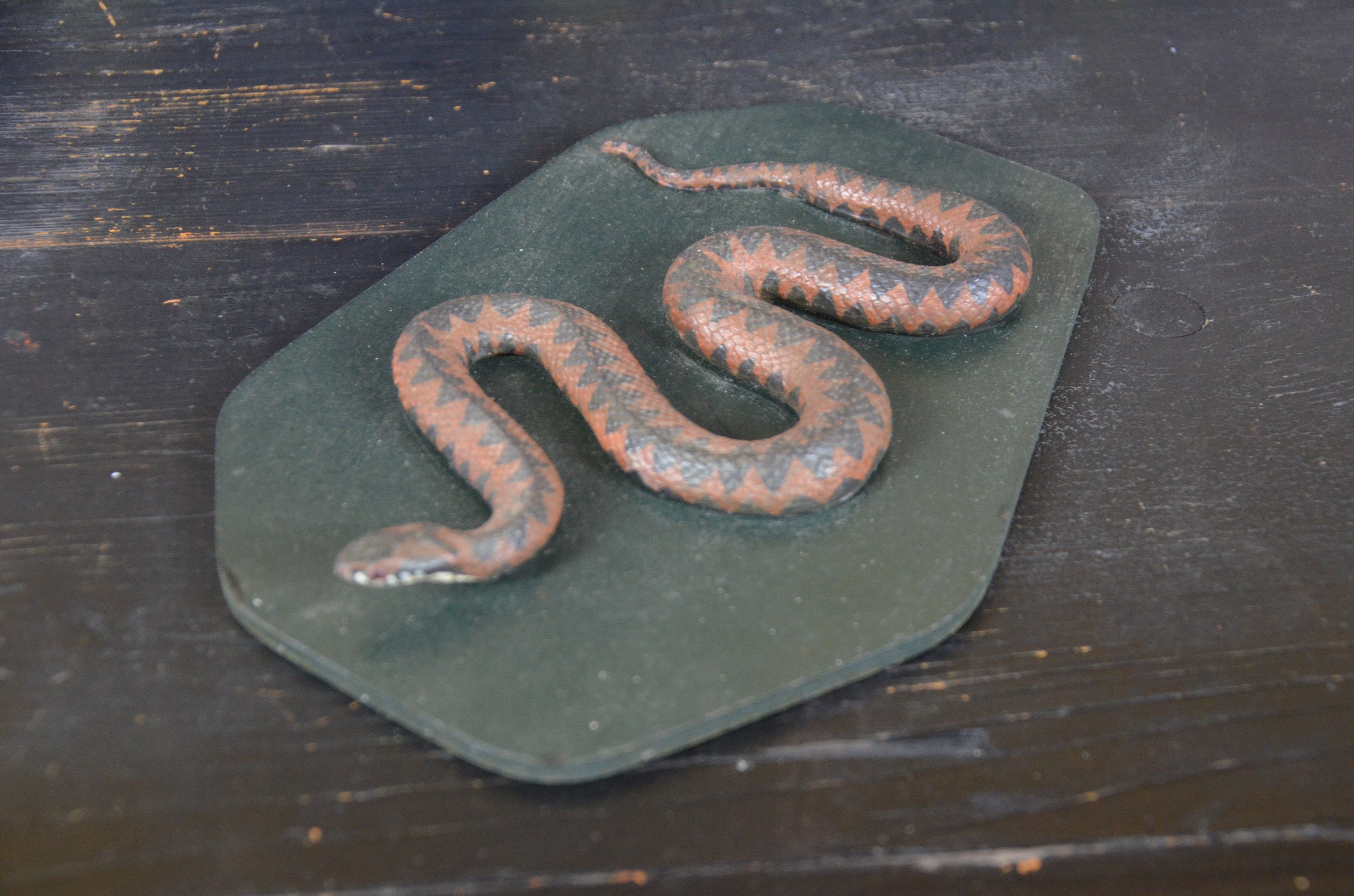 Crossed Viper, Adder, Antique Anatomy Model: Original 1950s German ...