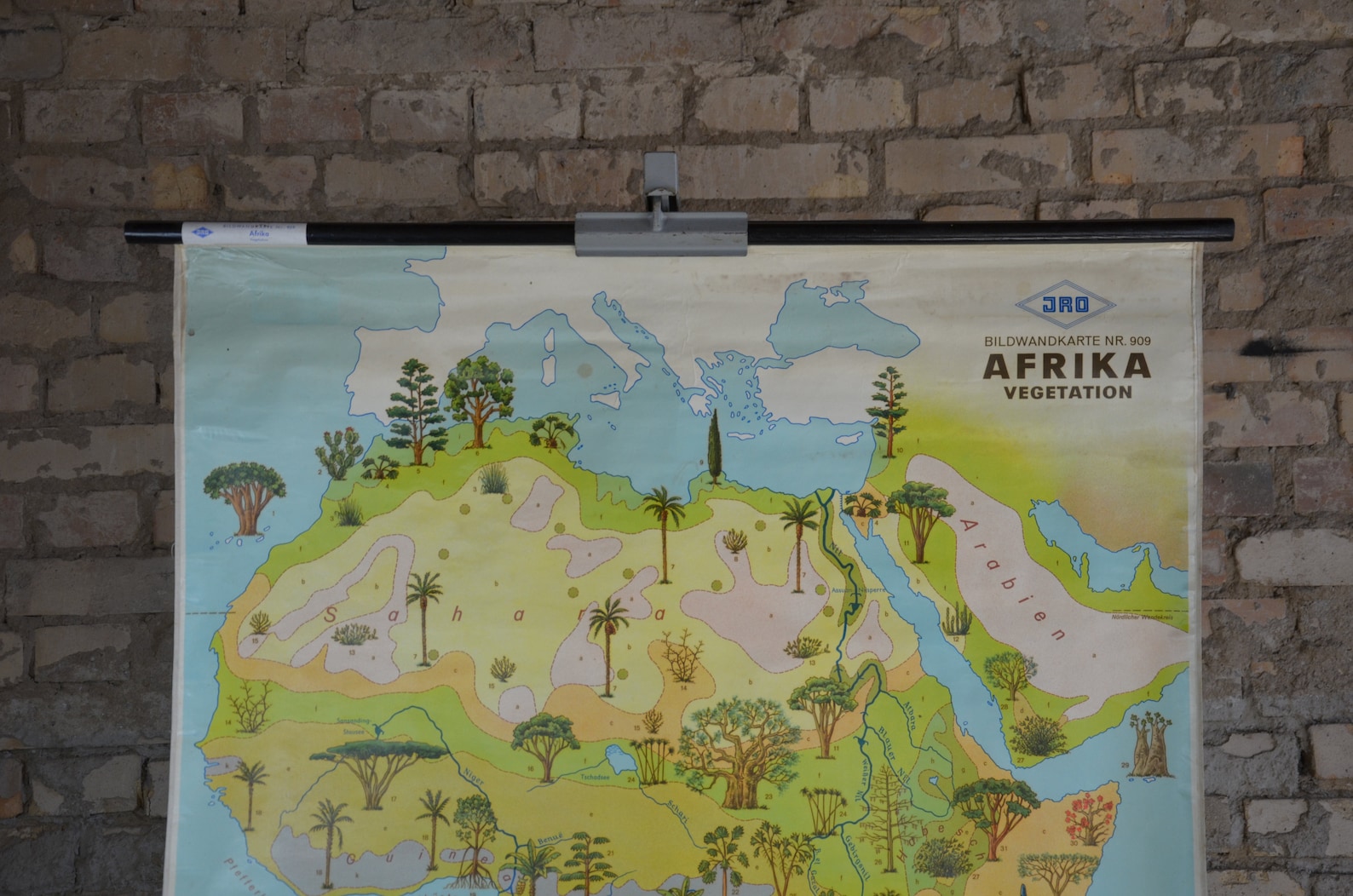 Trees of Africa Botanical Map: Original Vintage 1960s German | Etsy