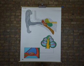 Acoustics Poster - Etsy